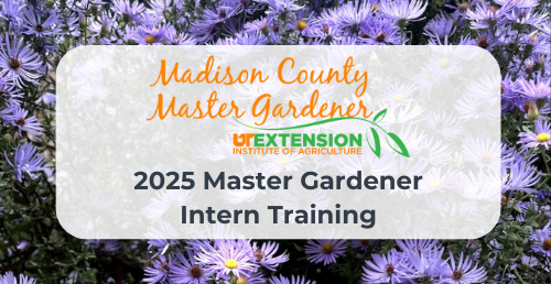 How To Become A Master Gardener